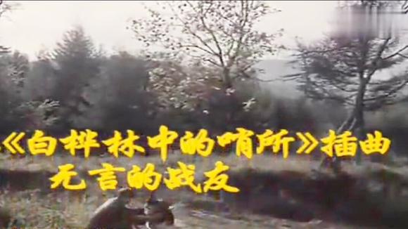1982年老电影《白桦林中的哨所》插曲“无言的战友”