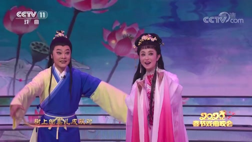 [2020春节戏曲晚会]黄梅戏《天仙配》 表演者:周源源 张辉
