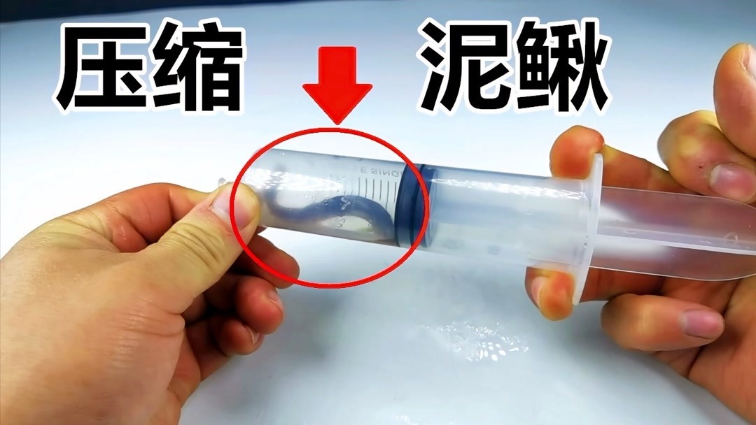 把活泥鳅放入注射器中压缩会怎样?