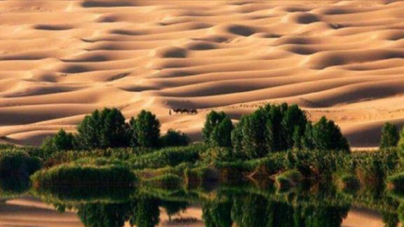 假如地球上的沙漠都变成森林,会有什么后果?科学家说出答案
