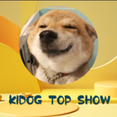 KIDOG TOP秀 
