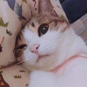 哎呀6666 