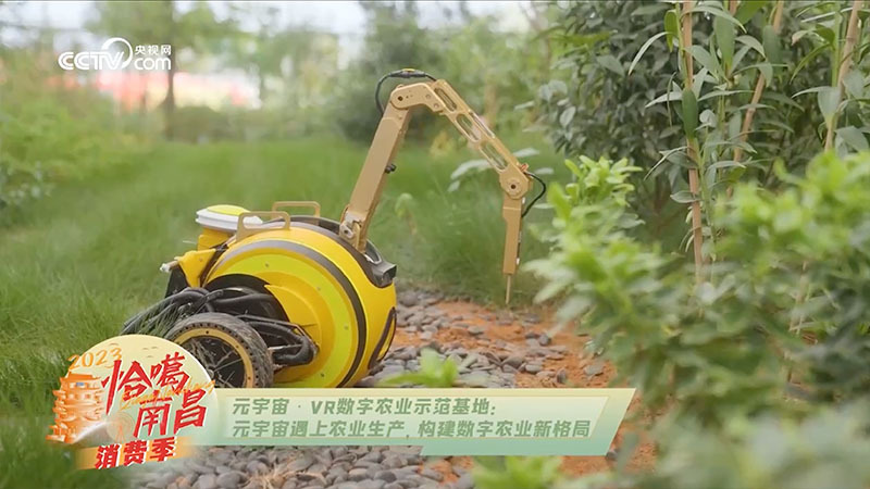 2023恰噶南昌消费季 南昌·时尚智创之都:vr农业