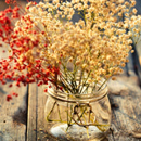 虚空之触生活乐 