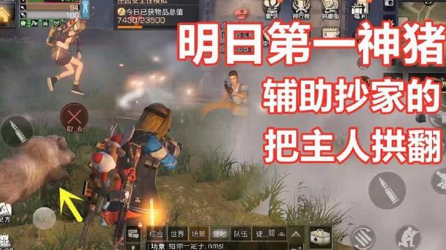 明日之后易语言辅助