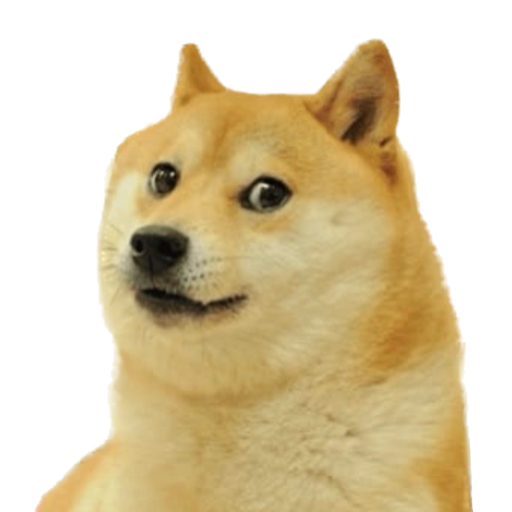 秋田萤火虫 