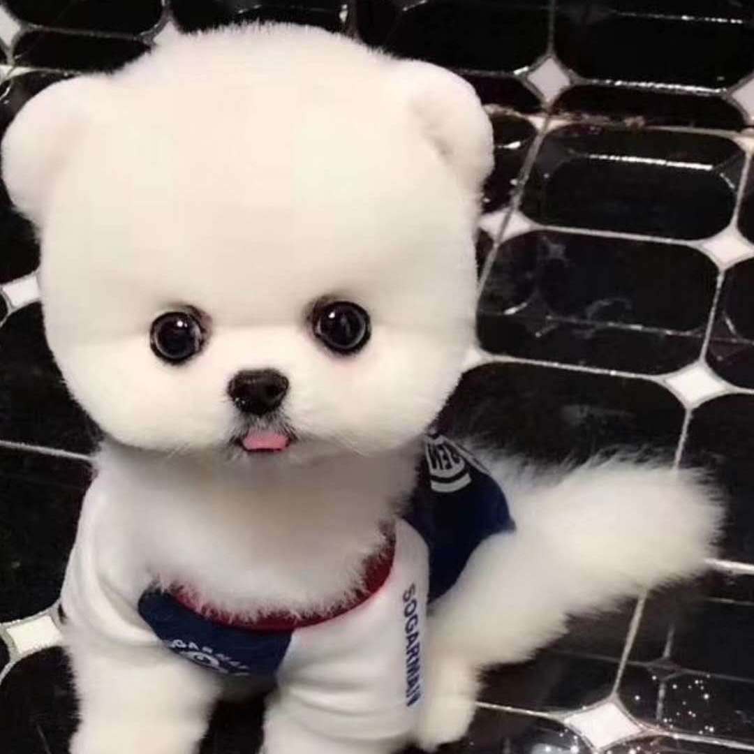 能量调味剂 