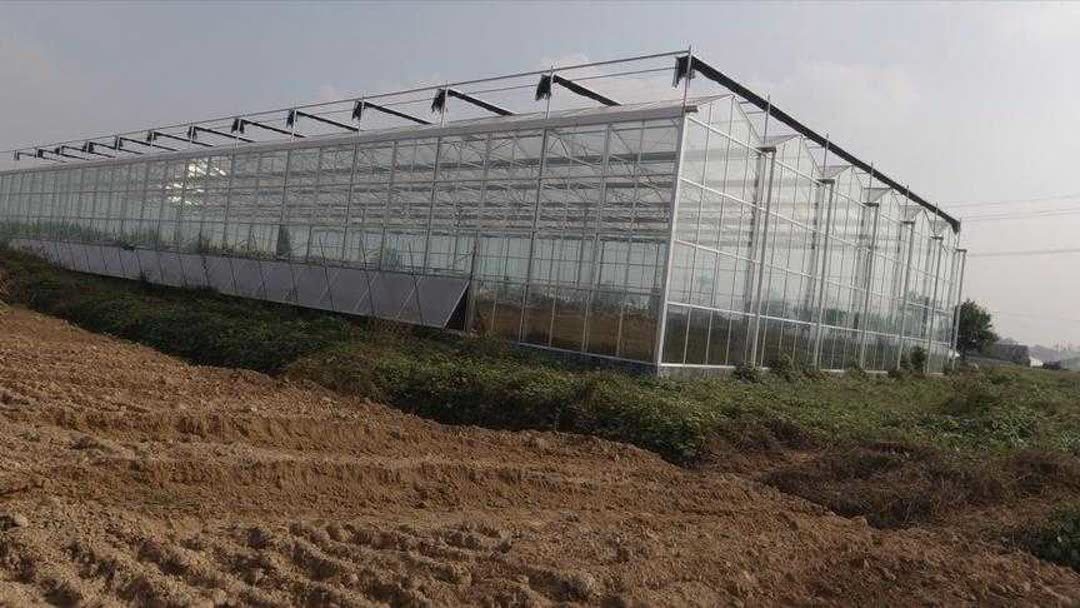 200万建的大棚做无土栽培,能赚到钱吗?小伙:这是未来趋势