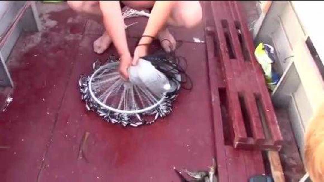 俄罗斯人撒网捕鱼,这个自带钢圈的鱼网是什么原理?