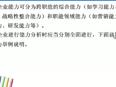 企业战略管理15
