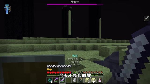 我的世界119:屠龙第六天,导演凭借聪明才智无伤干掉末影龙!