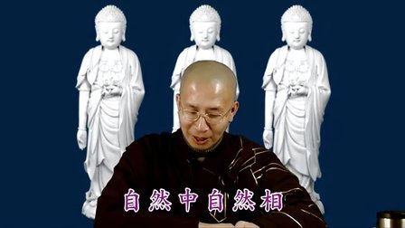 无量寿经简讲(粤语)--66--定弘法师