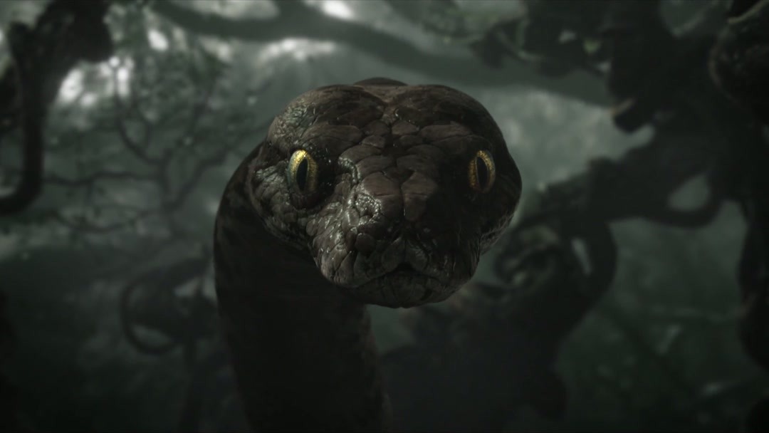 原来森林之王就是狼孩的杀父仇人!蟒蛇大姐这眼神简直不寒而栗