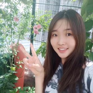 小维绿植盆栽 