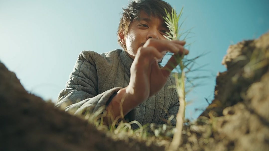 《最美的青春》冯程为种树饱经沧桑