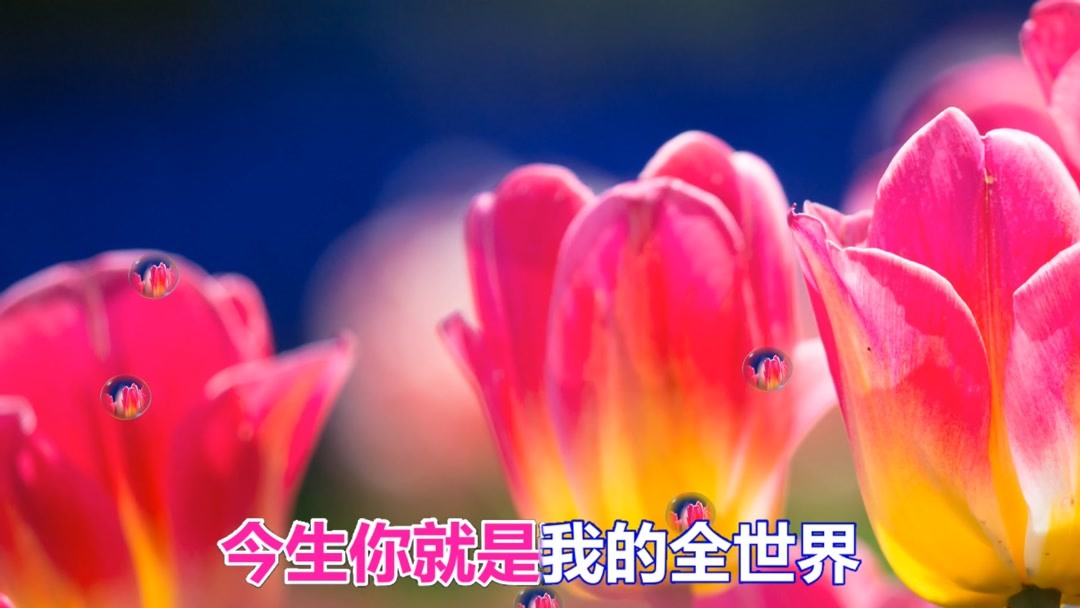 一首经典情歌《你就是我的全世界》