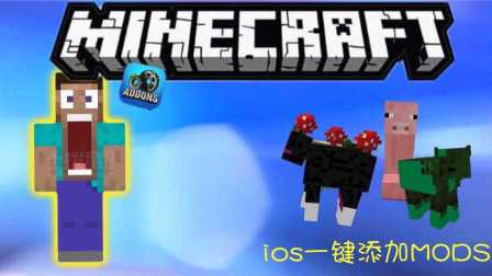 【冷希】(我的世界pe)冷希教你ios一键添加MODS addons