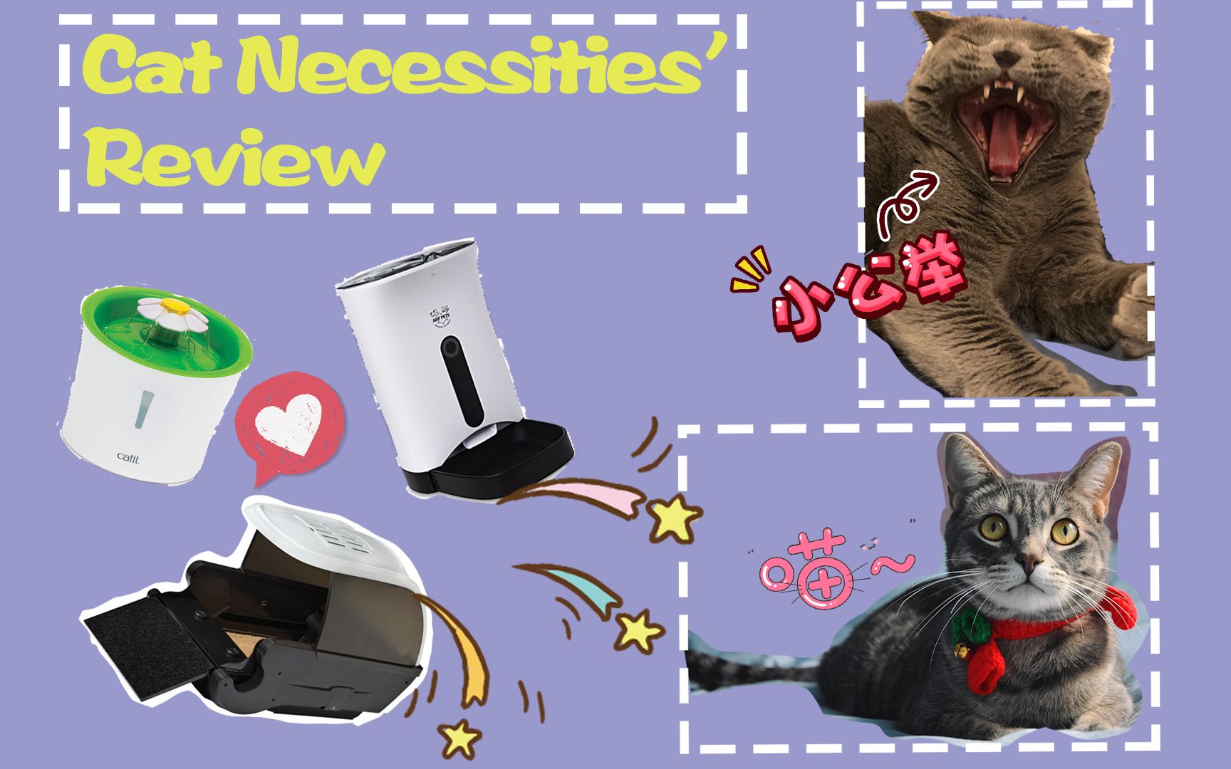 [Catlog]我家猫主子们的全自动化生活|想要解放双手请看这里|人不如猫...