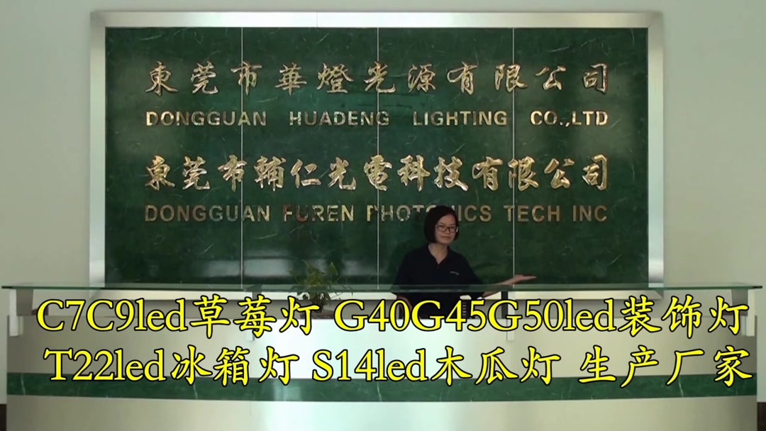 C7C9led草莓灯 E12E14冰箱灯 G40G45G50装饰灯 T22木瓜灯东莞华灯