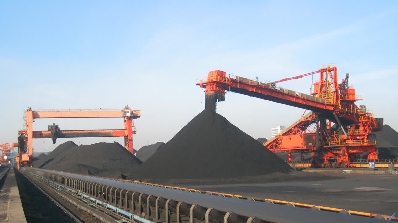 冬天用来取暖的煤,都是如何形成的呢?答案出乎你的意料