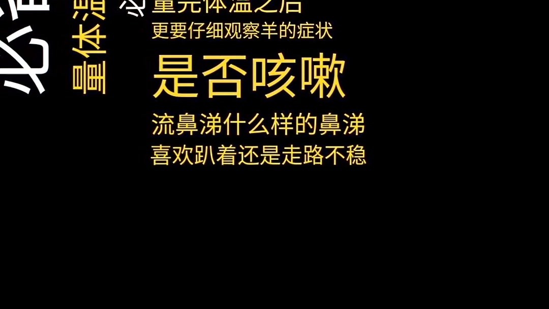 新手养羊莫怕羊生病:最基本的知识掌握好