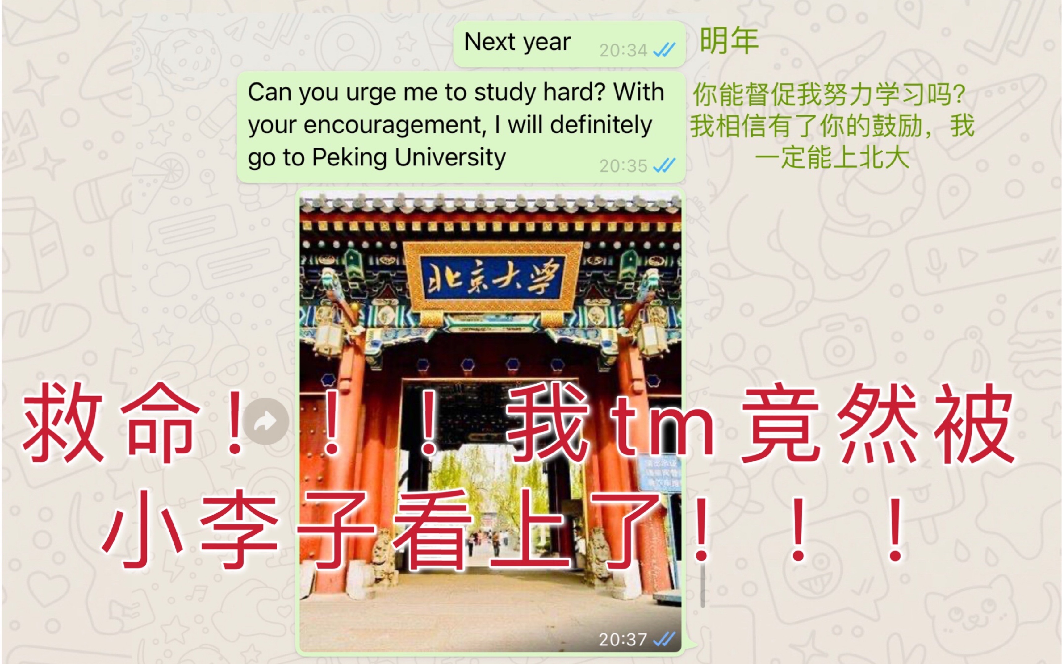 三句话让冒充我偶像的外国骗子督促我上北大 聊天的时候简直快笑死