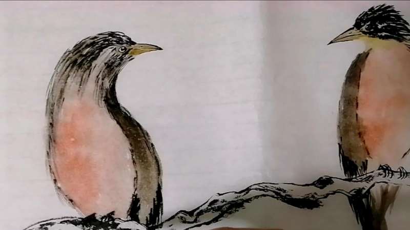 国画小写意水墨面面相对的喜鹊技法,用笔细腻,一笔一画活了