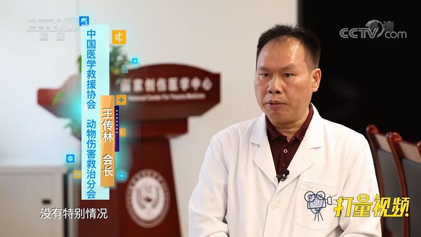 被动物抓伤咬伤如何应对?专家给出建议,快收藏|生活提示