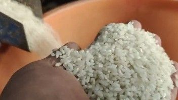 稻谷脱胎换骨变成白花花的大米,过程原来如此简单。