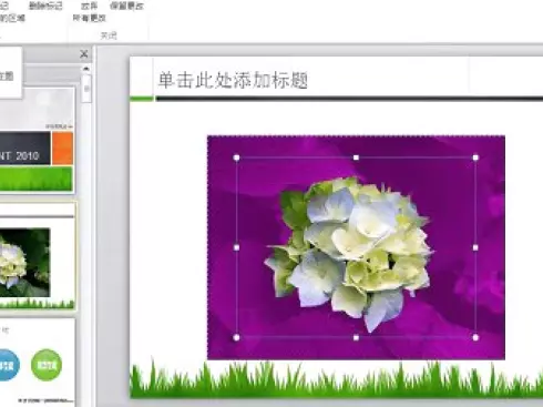 PowerPoint2010第03集 快速去除图片的背景
