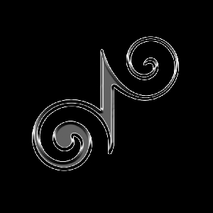 荣荣的学习笔记 