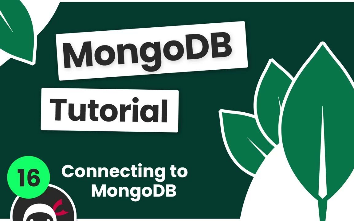 MongoDB 完整教程：#16 - 连接到 MongoDB