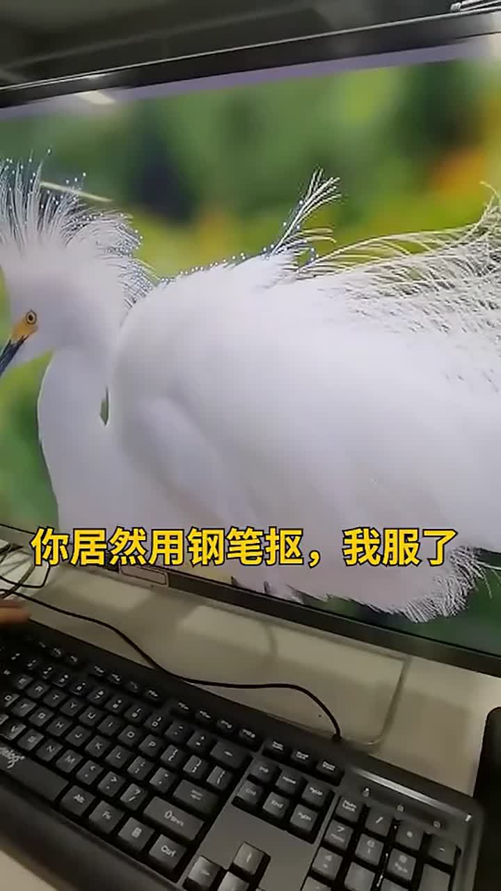 视频中:购物车买PS书送教程 PS软件小鸡毛发怎么抠?...