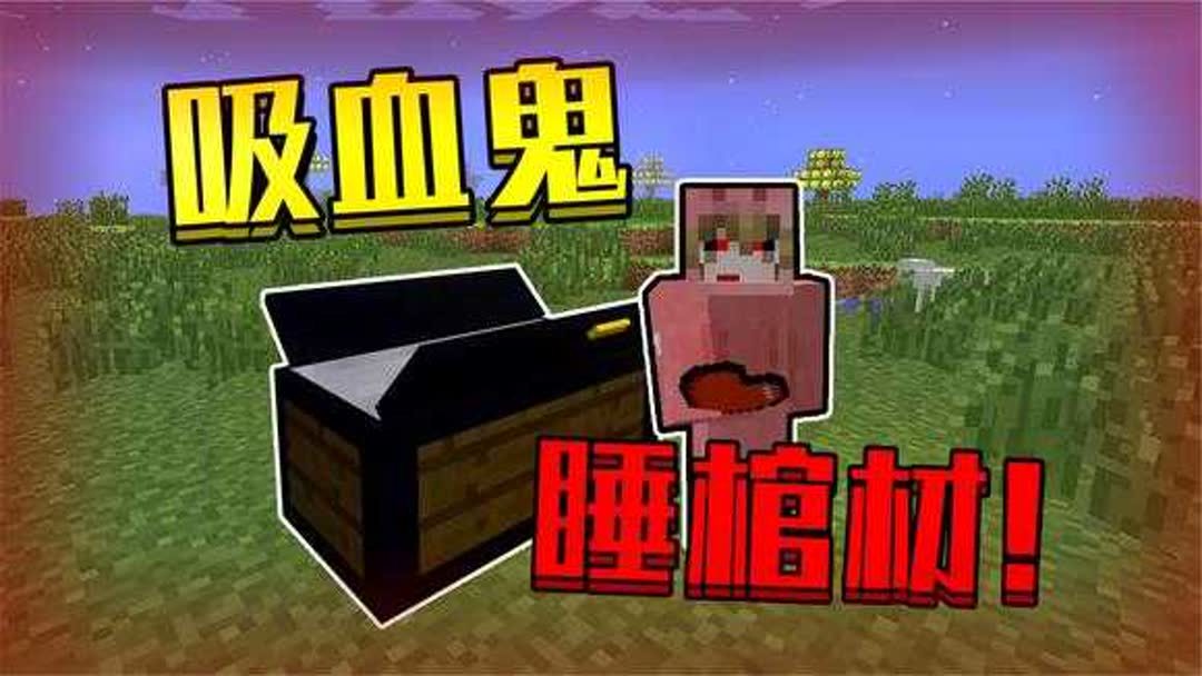当在我的世界变成吸血鬼!睡在棺材里!该如何生存!吸血鬼生存