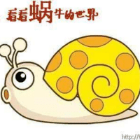 大鱼用户1545735234762147 