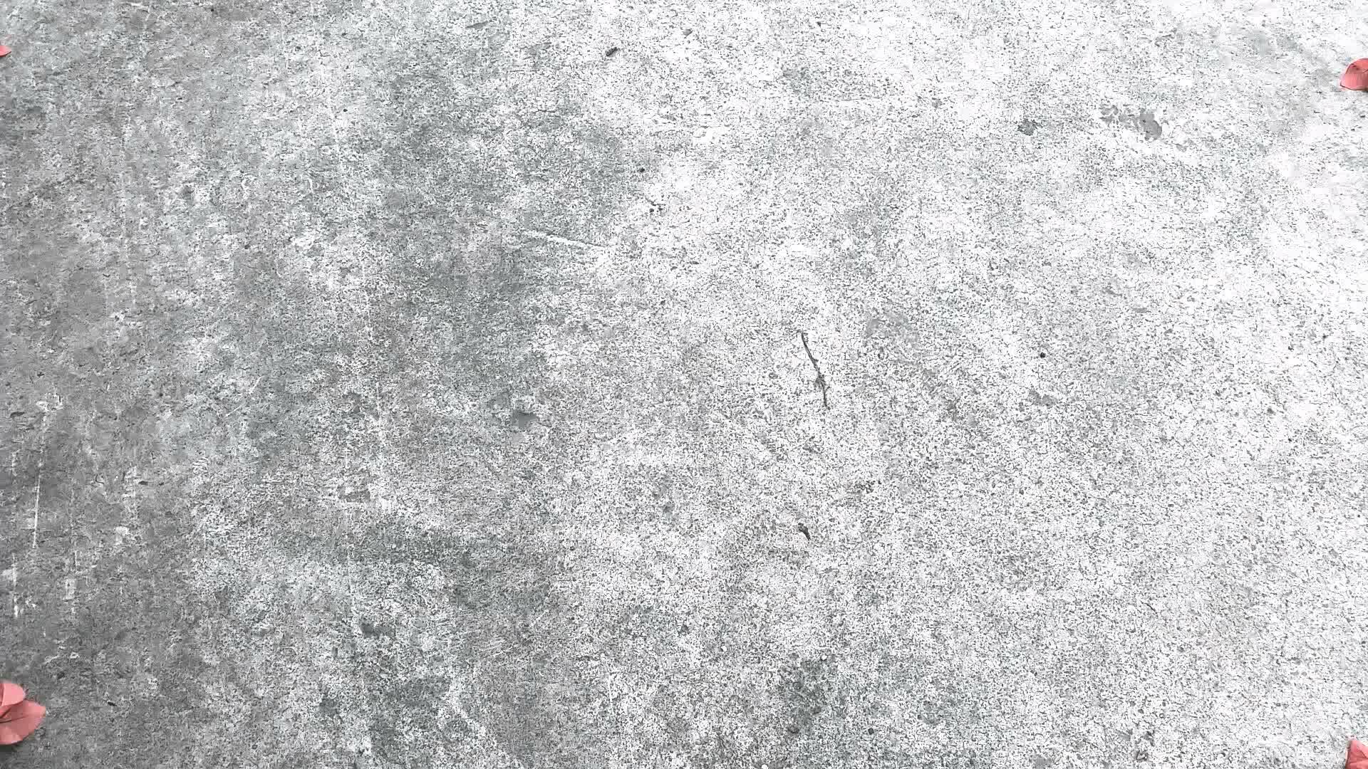 定格动画---LUCKY
