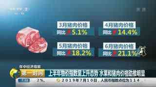 上半年物价指数呈上升态势