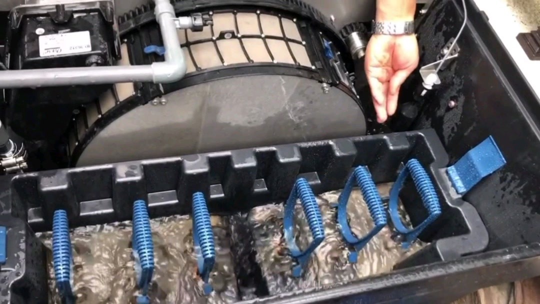 一个没有过滤系统的鱼池加装了外置全自动转鼓过滤系统,期待效果