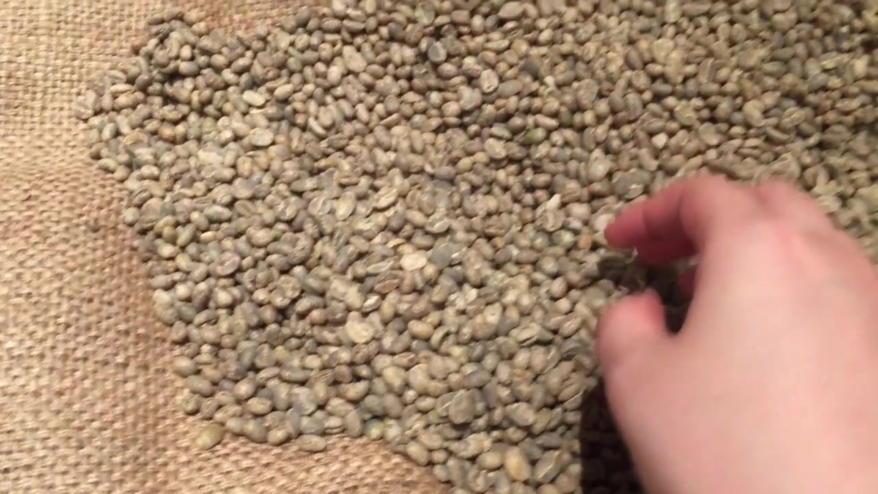 ... Starbucks- Coffee taste-我的11月vlog-深圳-星巴克游园会-咖啡品鉴-