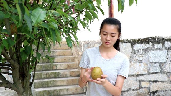 梨树一年结果才10多个,最近有人来捣乱,妹子又无奈又气愤!