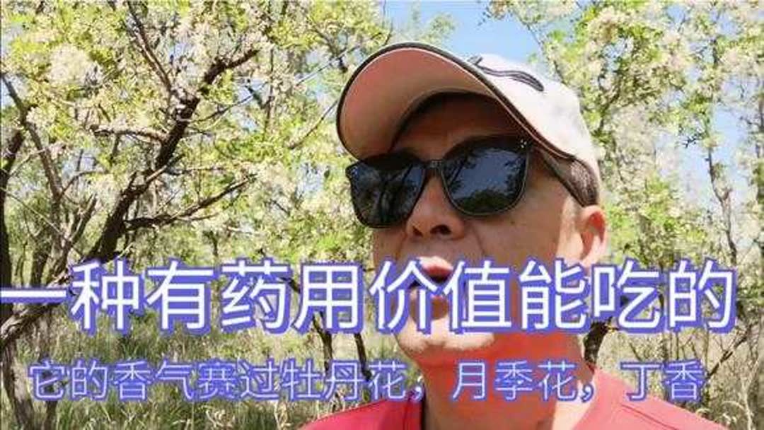 一种有药用价值能吃的花,它的香气赛过牡丹花,月季花,丁香花