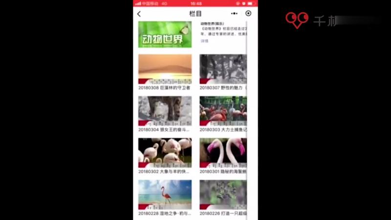 微信也能看电视台直播!还支持回看电视节目