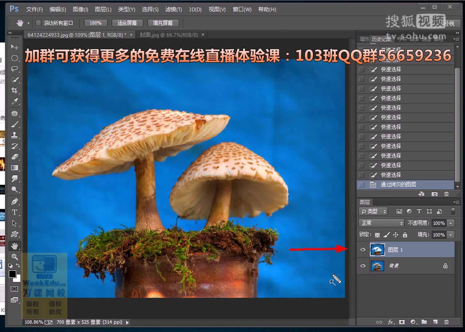 ps教程视频 ps学习 ps自学教程 PS合成 PS实例 PS抠图
