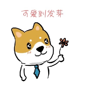爱科研的博士 