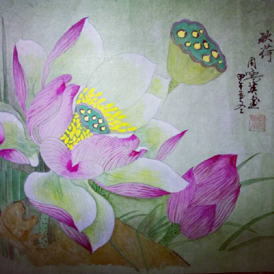 俏度 