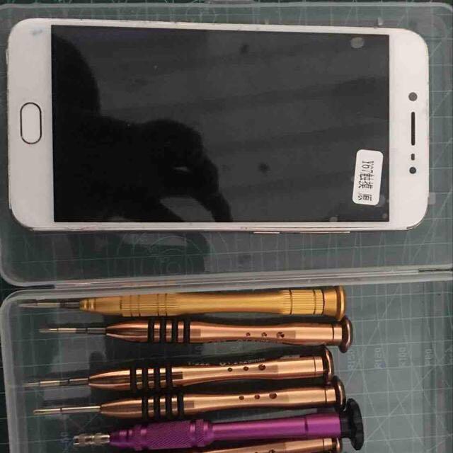 率真怀揣梦想的星 