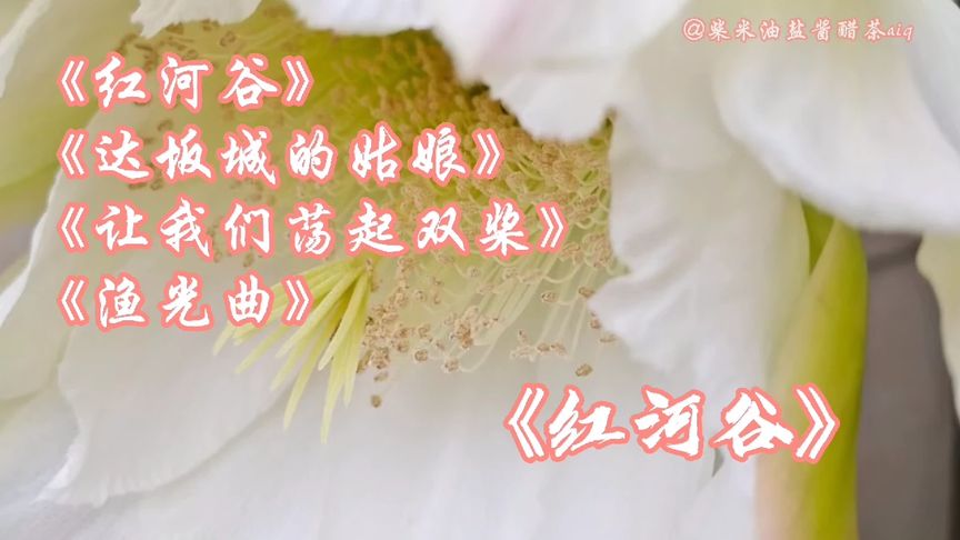 《红河谷》《达坂城的姑娘》《让我们荡起双桨》《渔光曲》