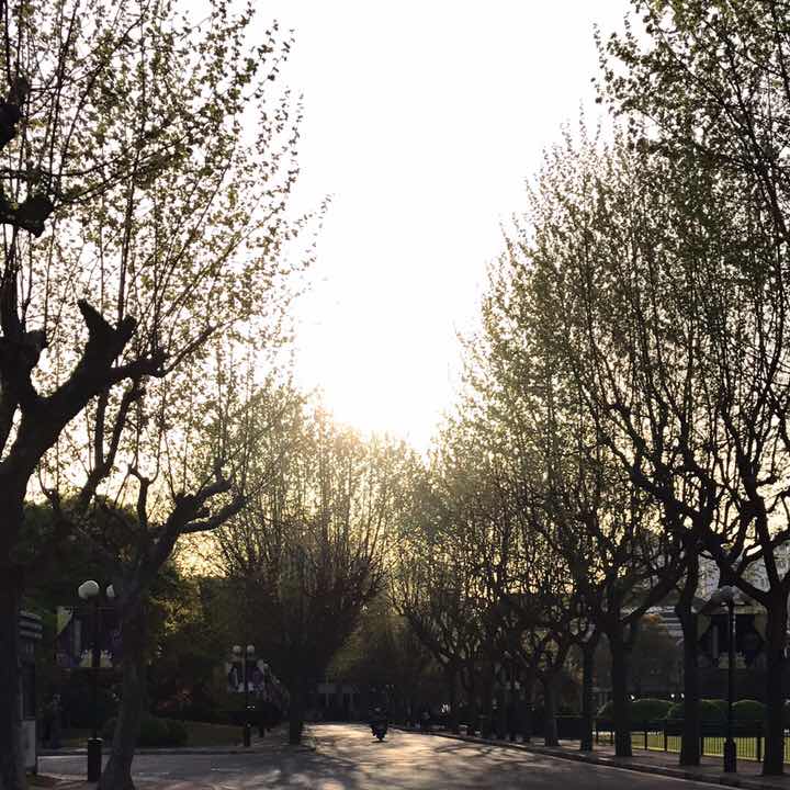 黑嘟 