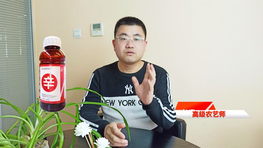 高效杀虫剂使用注意事项,你用对了吗?
