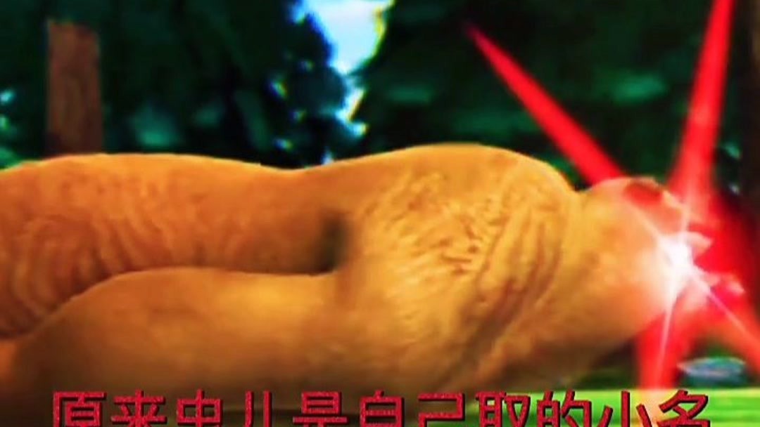 熊出没搞笑系列视频